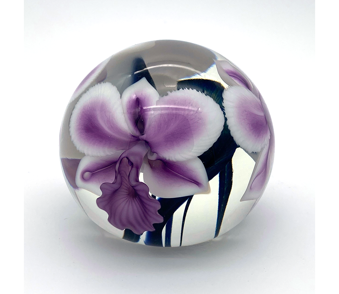 Childhood's End Gallery | Scott Bayless White & Lavender Orchid ...