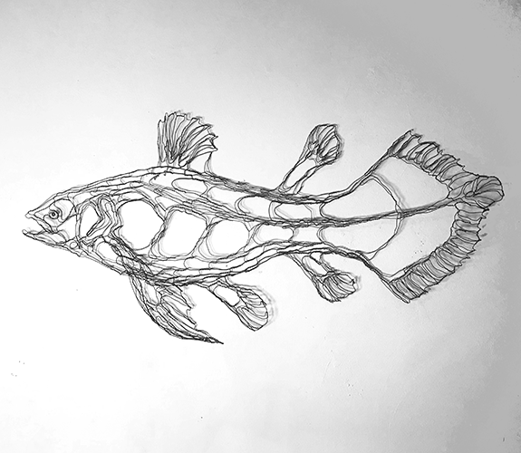 Childhood's End Gallery | "Coelacanth" - Elizabeth Berrien | Olympia ...