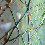 Childhood's End Gallery | Bryce Dimitruk - Vines Art Glass | Olympia ...