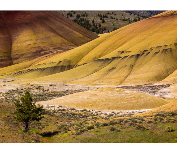 Childhood's End Gallery | Keith Lazelle - Painted Hills with Juniper ...