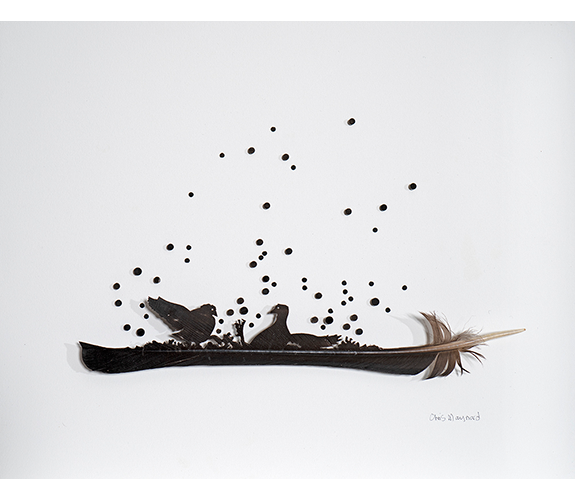 Childhood's End Gallery | "Coots" - Chris Maynard | PNW Cut Feather Art ...