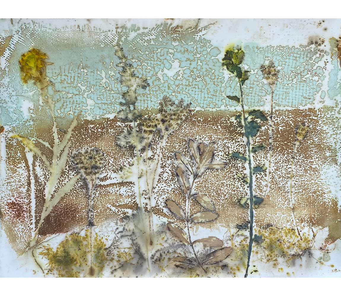 Childhood's End Gallery | "Meadow" - Randi Parkhurst | Olympia, WA Fine ...