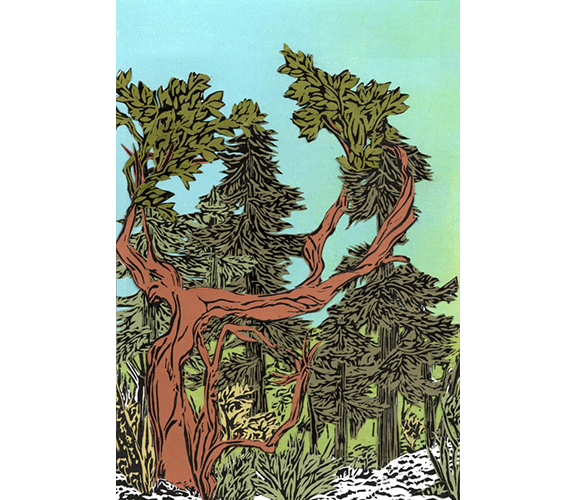 Childhood's End Gallery | "Madrona" - Mimi Williams | PNW Fine Art ...